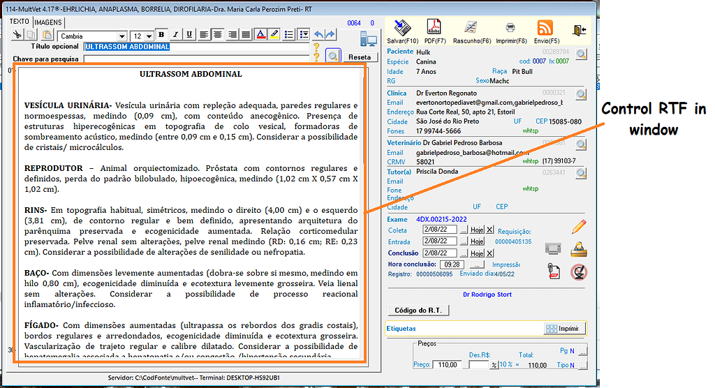 RTF in clarion report does not show text - questions - ClarionHub